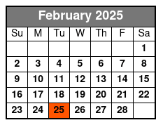 Buy 2025 Steven Best's Unbelievable Magic Shows Pigeon Forge, TN Tickets