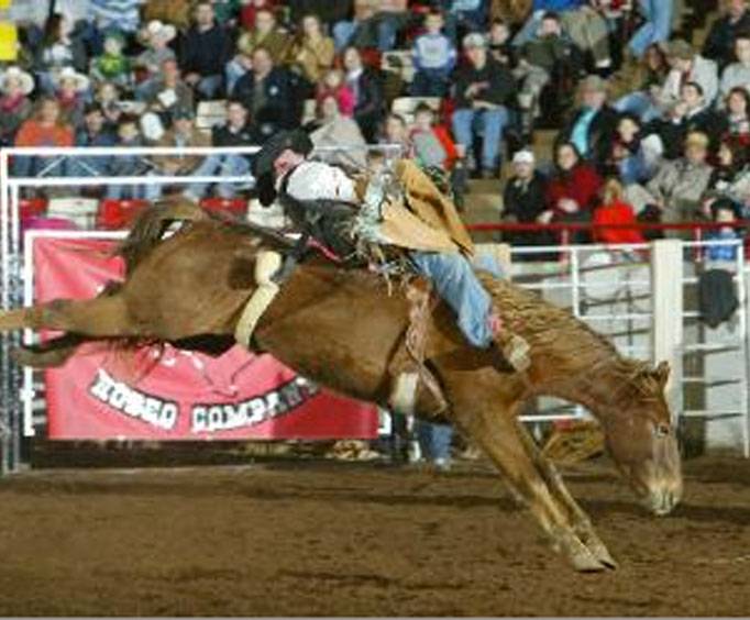 Tennessee Miller Coliseum in Murfreesboro, TN