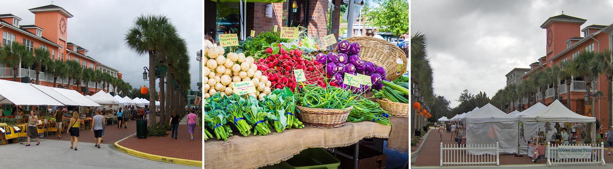 Celebration Farmers Market near Orlando, FL