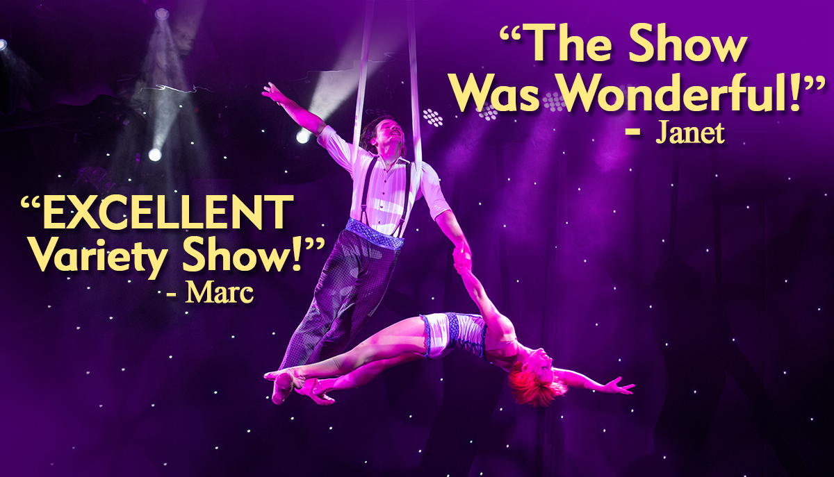 Buy 1 Get 1 Free Array Pigeon Forge Variety Show