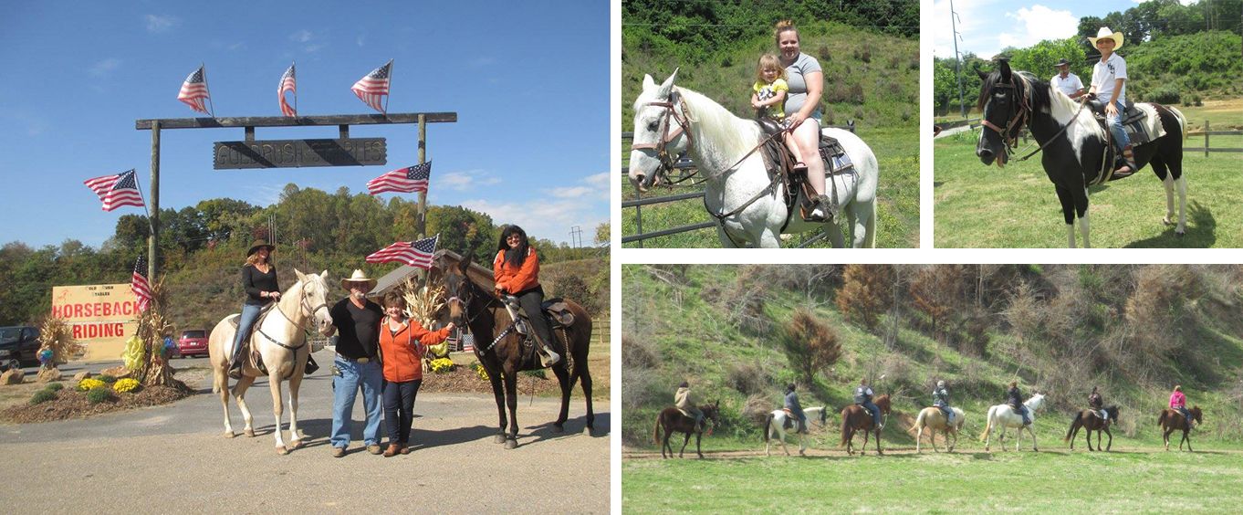 Gold Rush Stables Pigeon Forge Horseback Rides